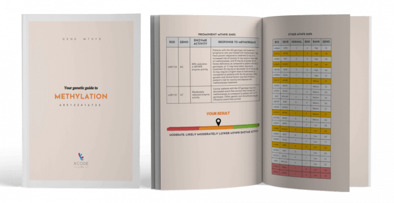 Genetic Markers Explained - Xcode Life