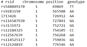 What is the DNA raw data and how does it look?