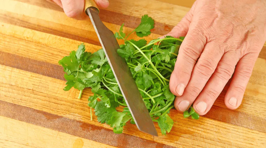 23andMe Raw Data Analysis for Cilantro Aversion Trait