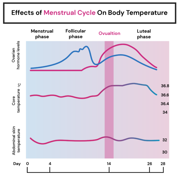 Exploring the Relationship Between Menstrual Cycle and Sleep