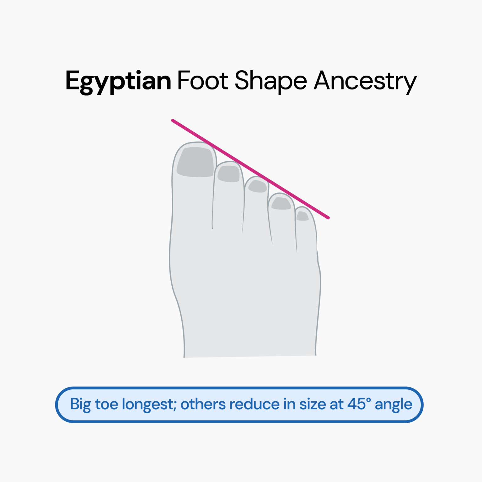 Is There A Connection Between Your Foot Shape And Ancestry?