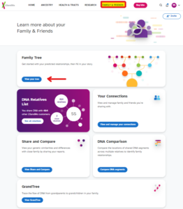How to Use 23andMe Family Tree: A Step-by-Step Guide for Beginners