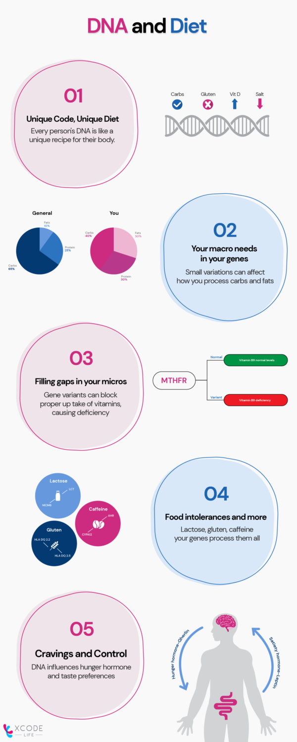 Everything You Need To Know About A DNA Diet Test