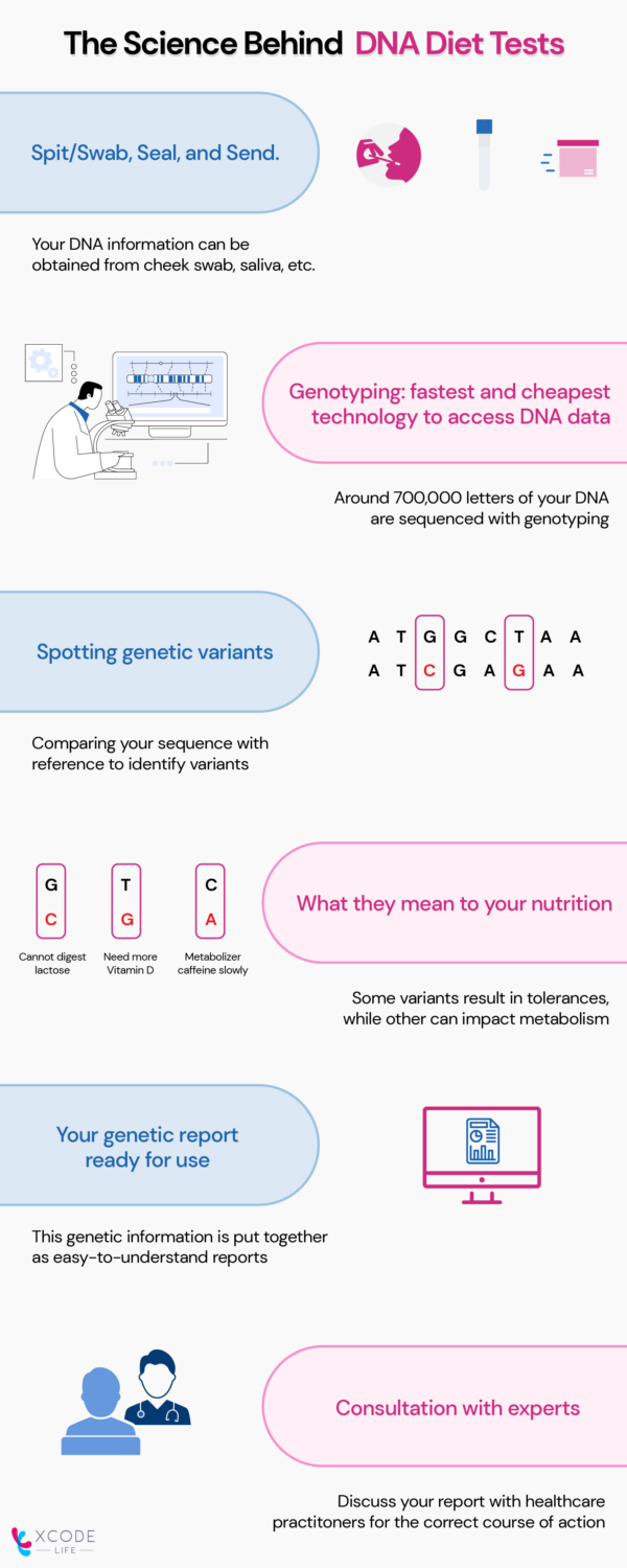 Everything You Need To Know About A DNA Diet Test