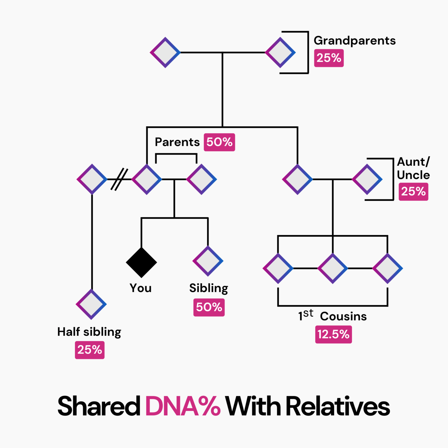 How Much Dna Do Siblings Share And What Does It Signify