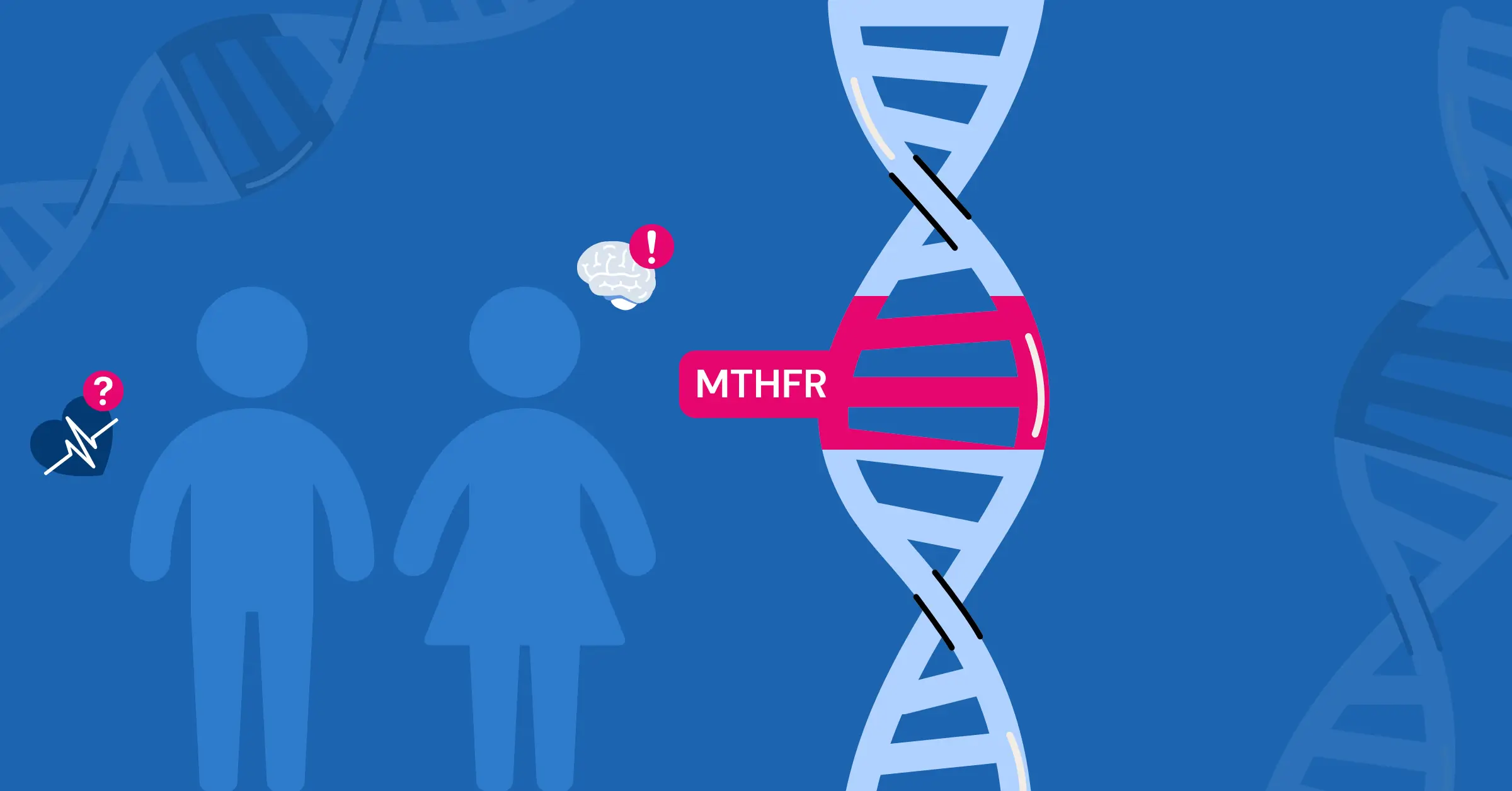 MTHFR Symptoms in Children: Mutations And Health Impacts MTHFR Symptoms in Children: Mutations And Health Impacts