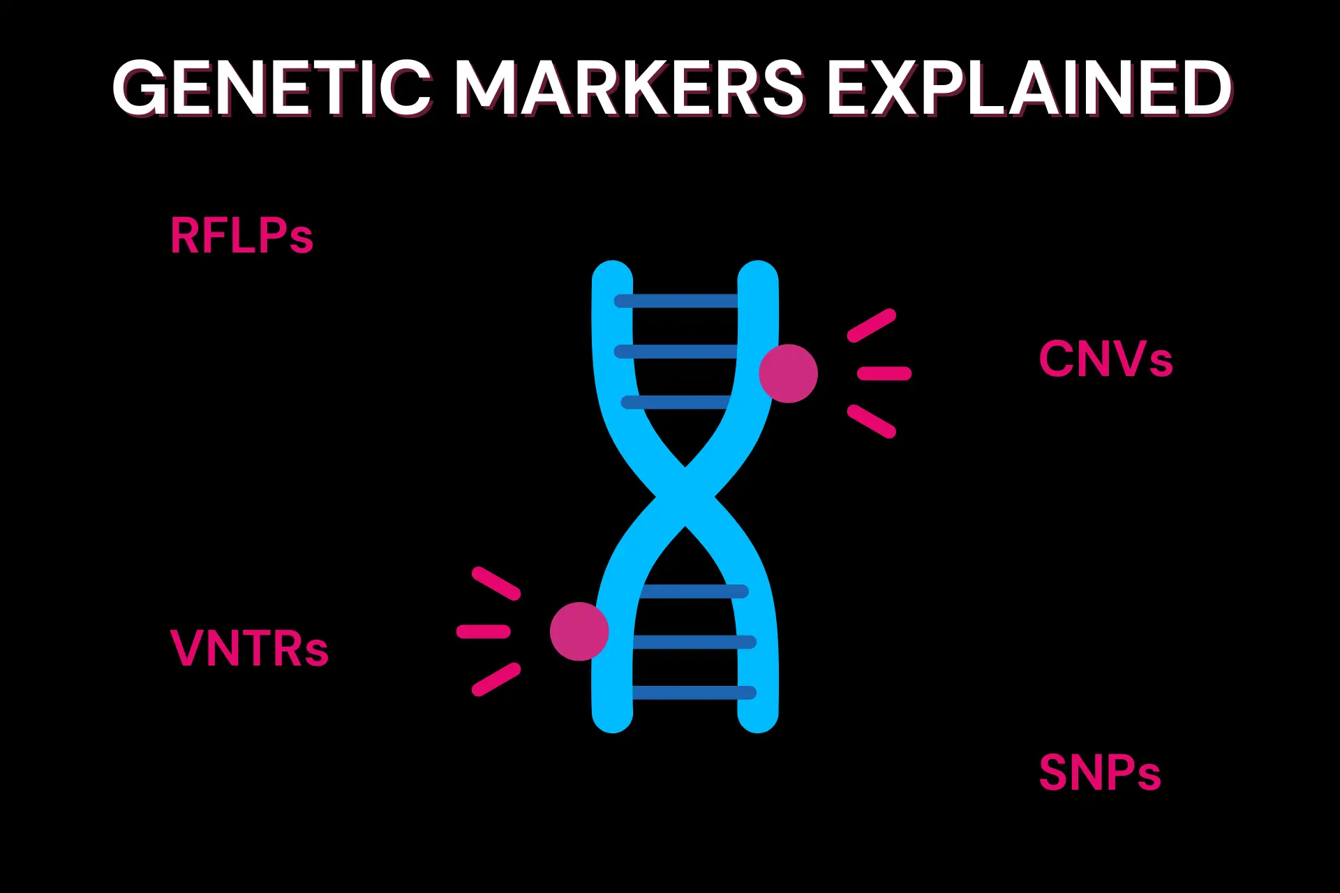 Genetic Markers Explained - Xcode Life